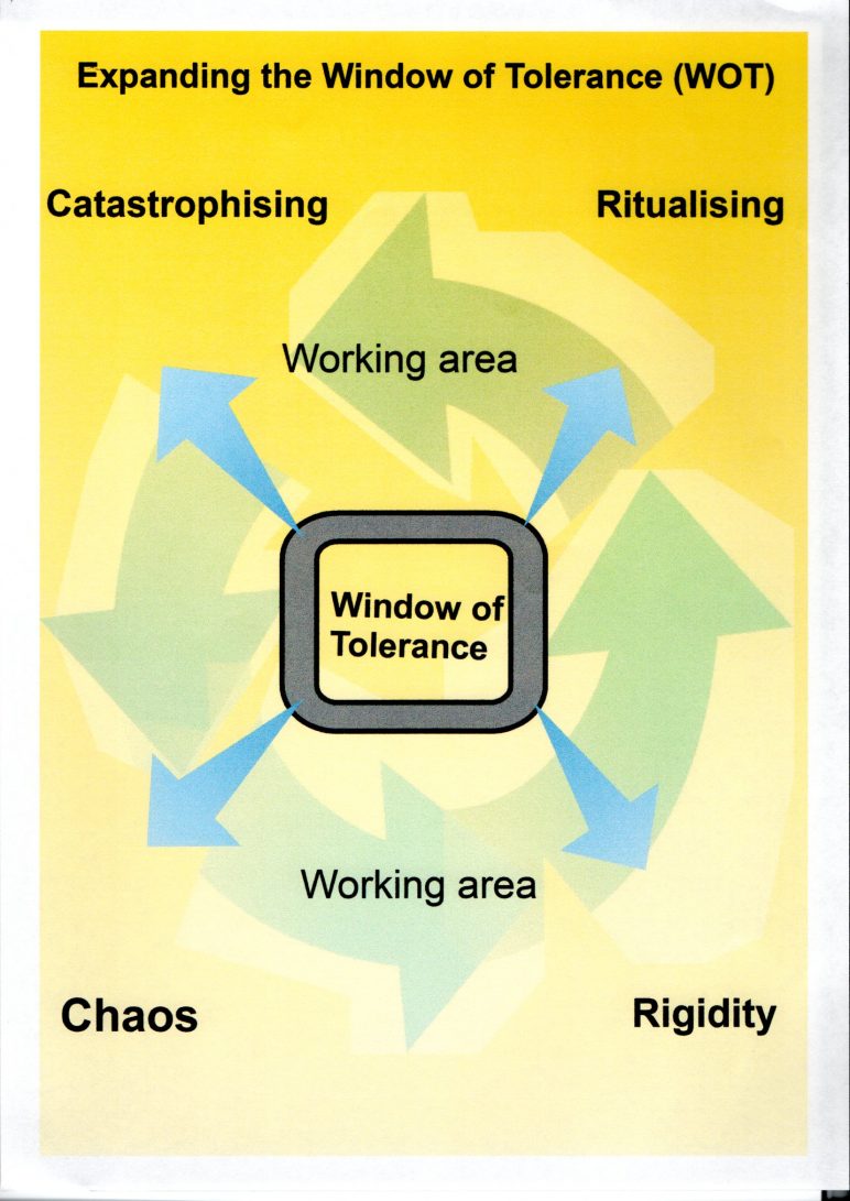 The Window of Tolerance – stepping outside – Your Nudge