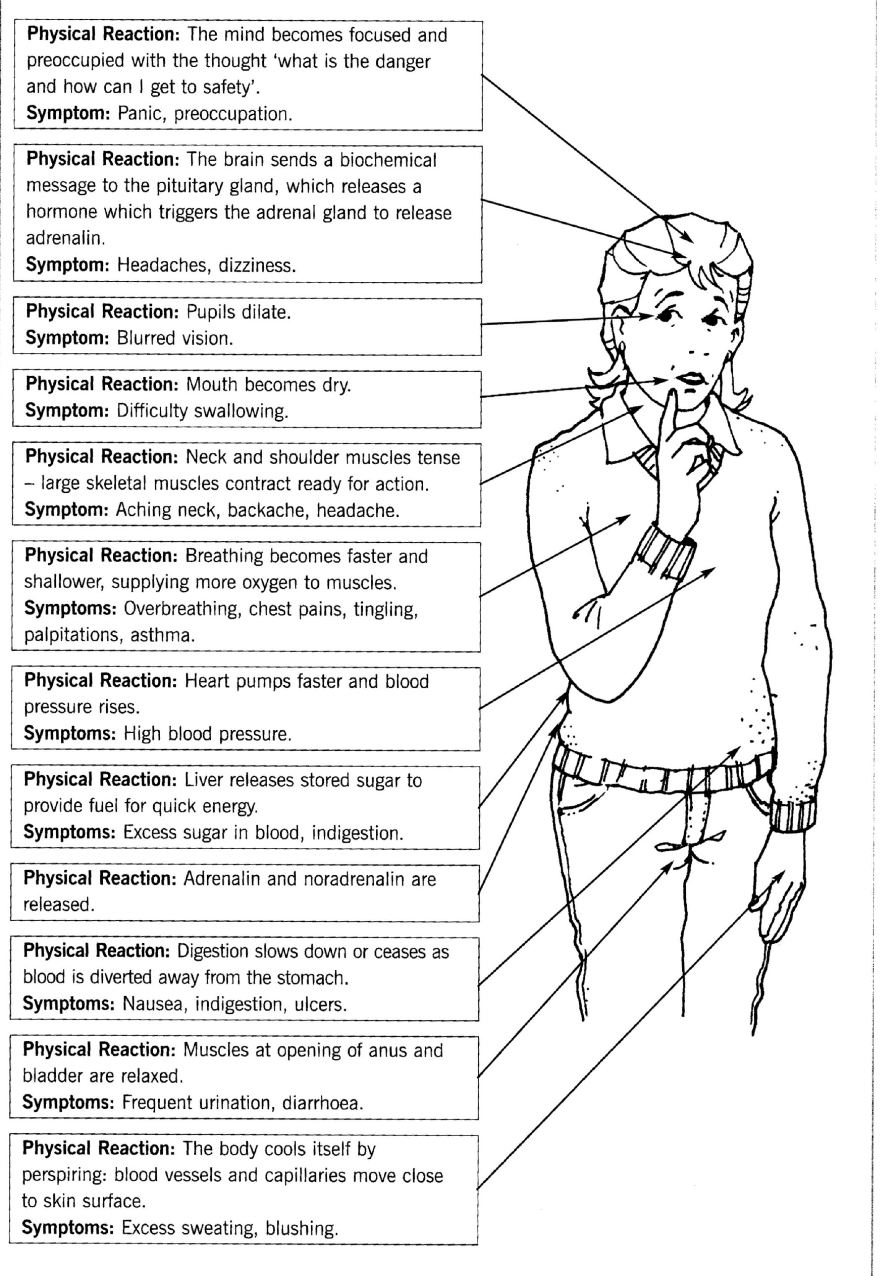 Fight, Flight, Freeze or Faint – Your Nudge