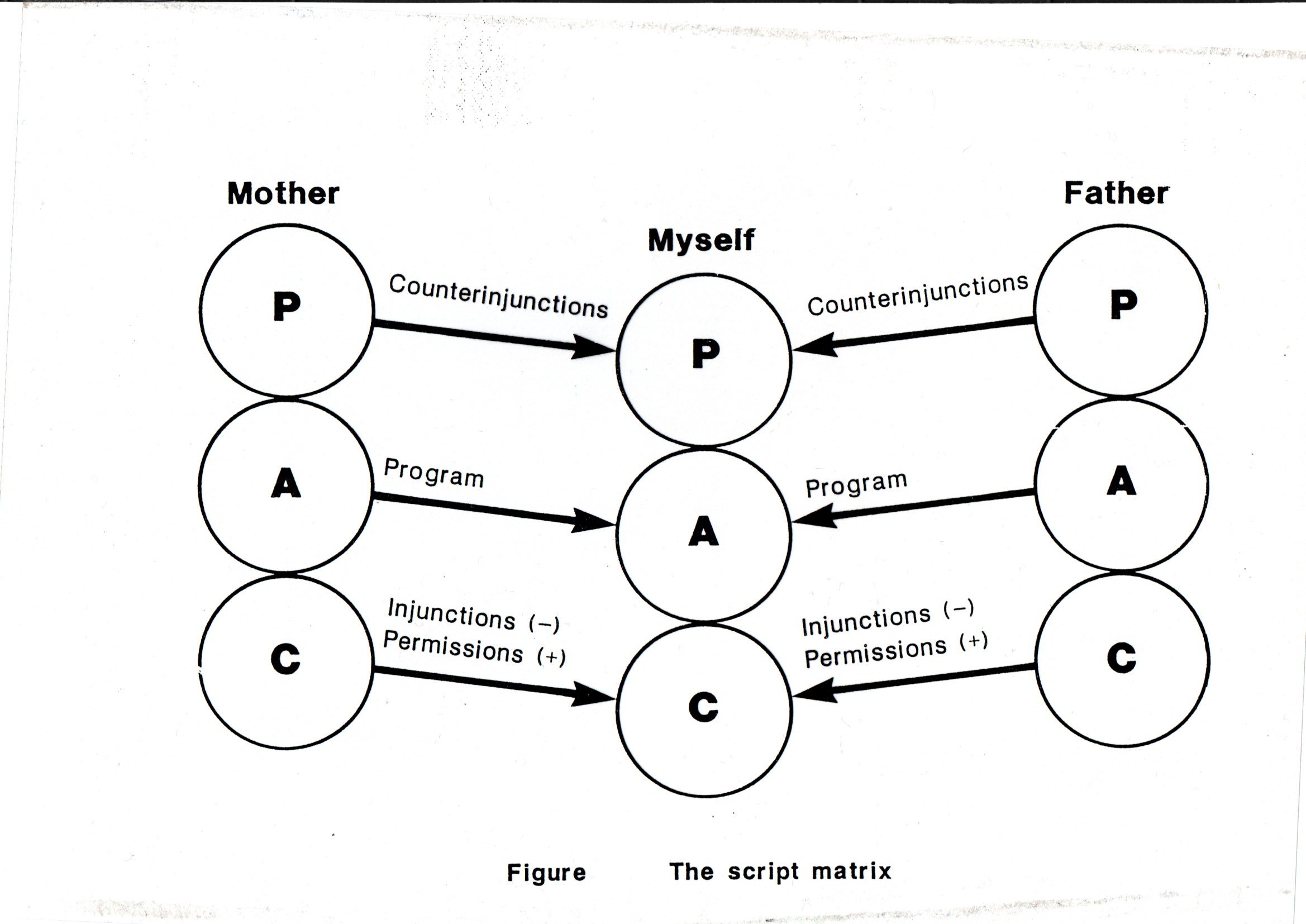 Transactional Analysis: A little bit more on Drivers and Scripts - Your Nudge