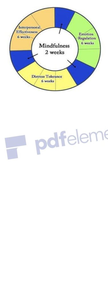 Dialectical Behaviour Therapy (DBT) – Your Nudge